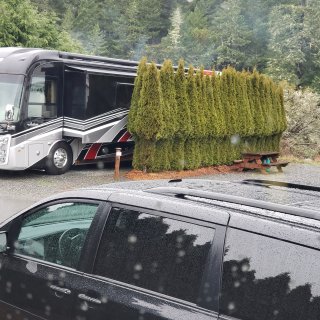 Pedder Bay RV Resort & Marina - Victoria, British Columbia - RV LIFE ...